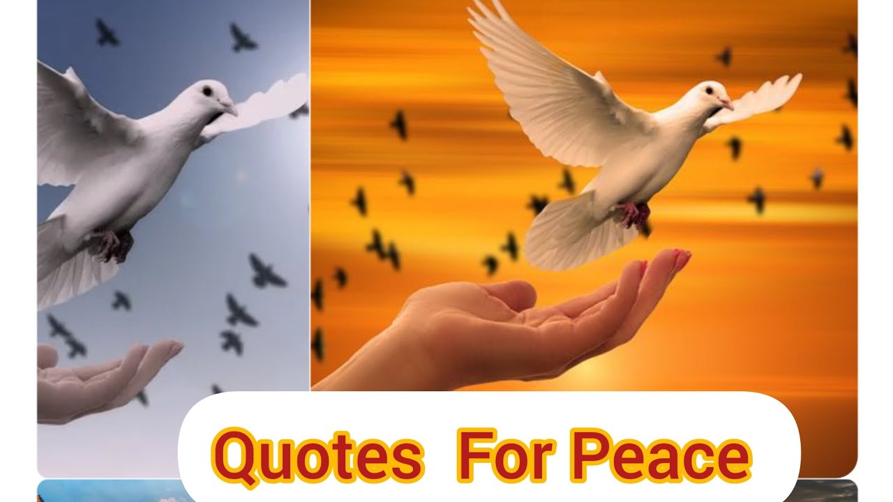 awesome stunning ultimate amazing unique Quotes About peace # ...