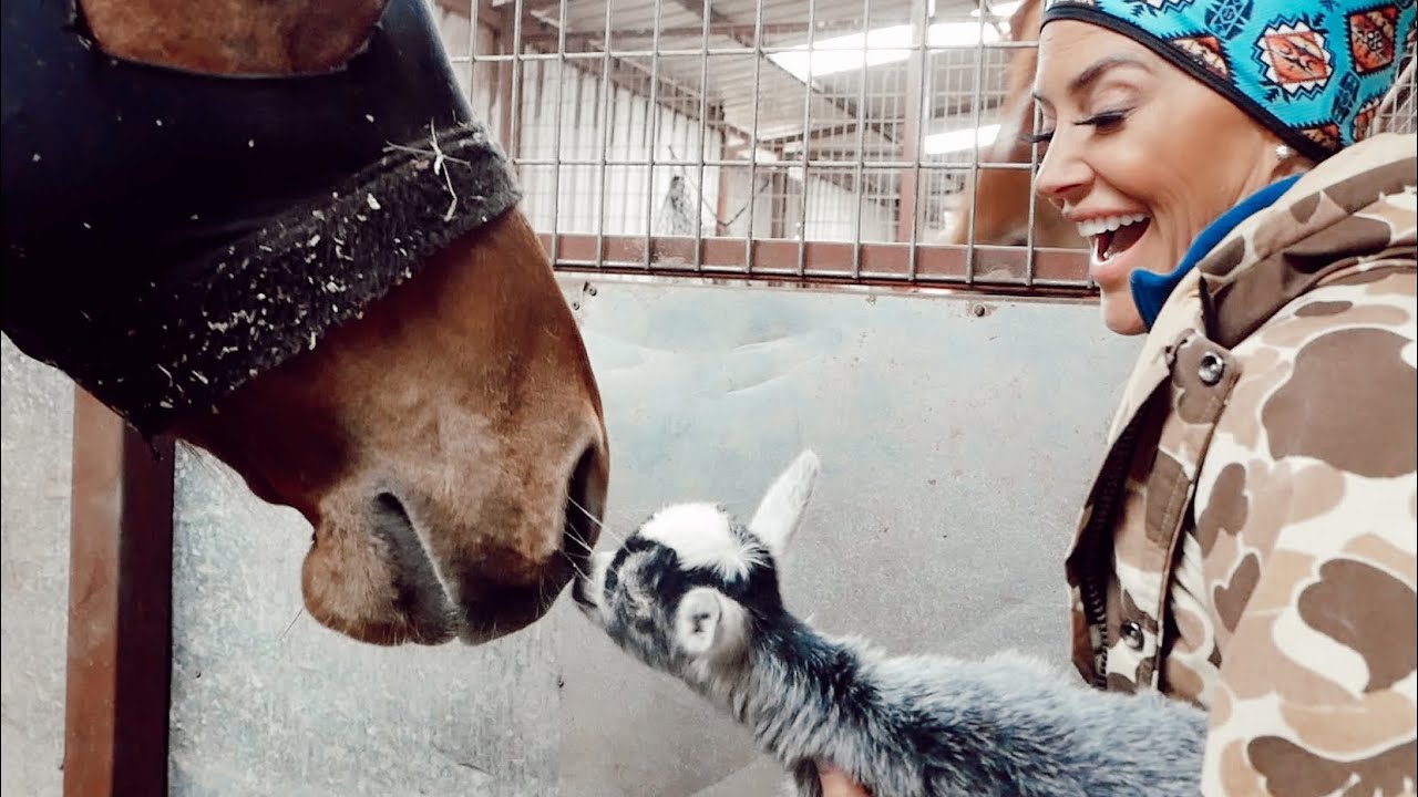 BABYFLO GOT A NEW GOAT! - YouTube