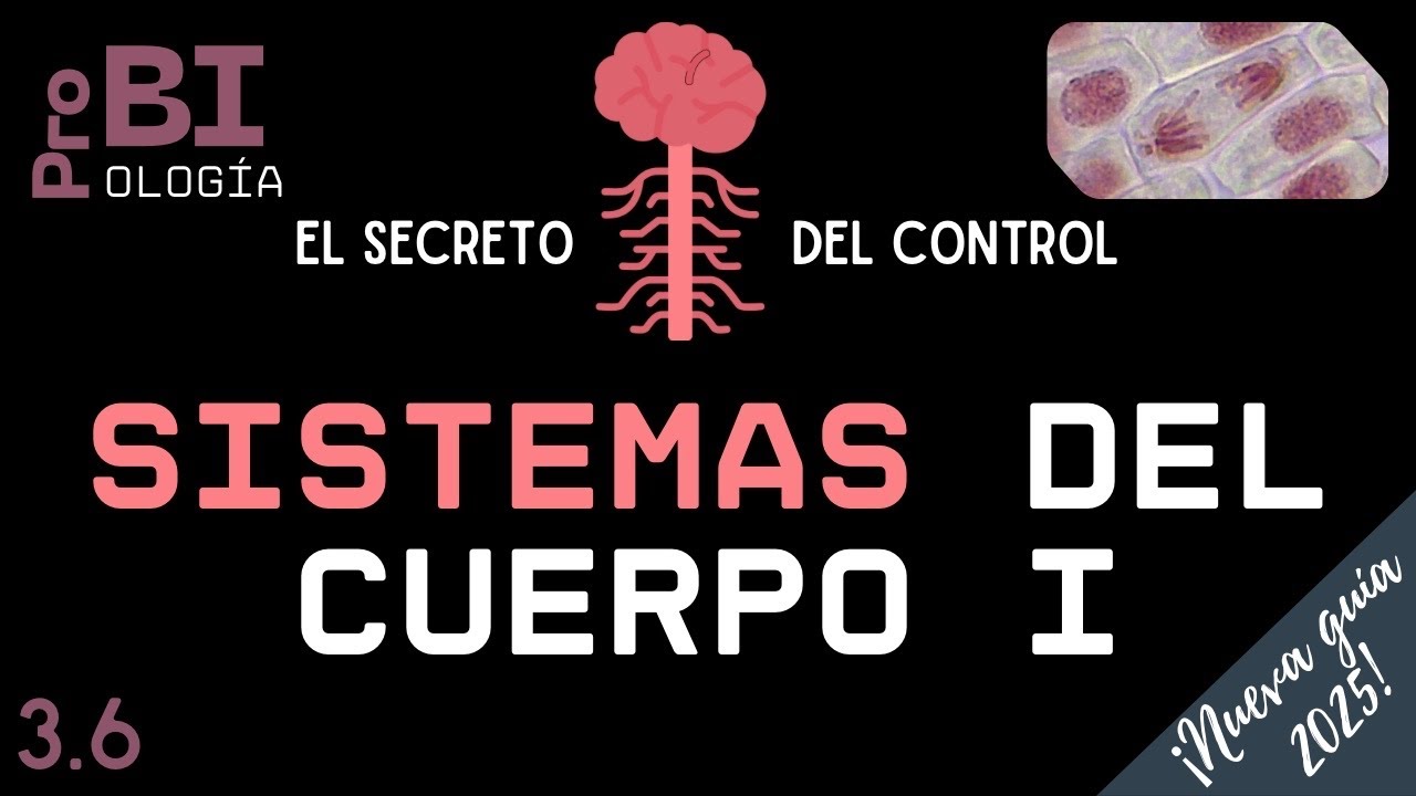 3.6. INTEGRACIÓN SISTEMAS DEL CUERPO I (NM) BI C3.1 | INTEGRATION OF ...