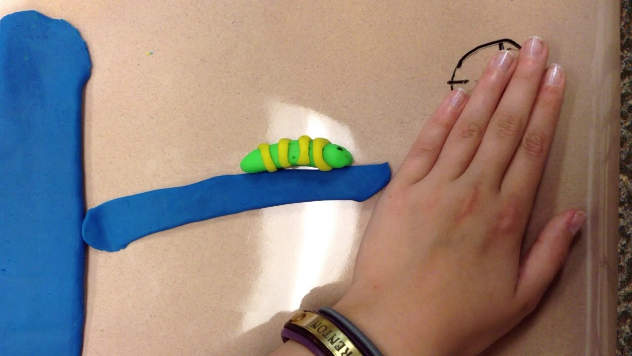 Metamorphosis - Stop Motion Animation - YouTube