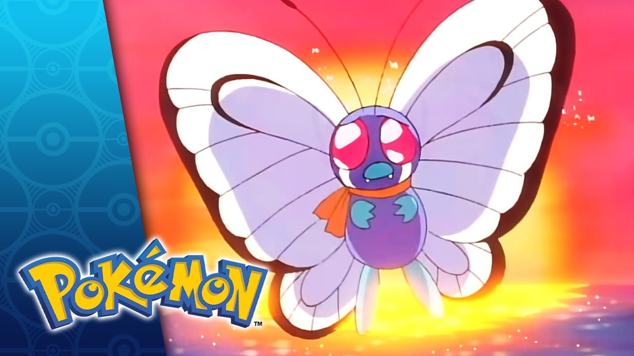 The Story of Ash's Butterfree | Pokémon Season 1 - YouTube