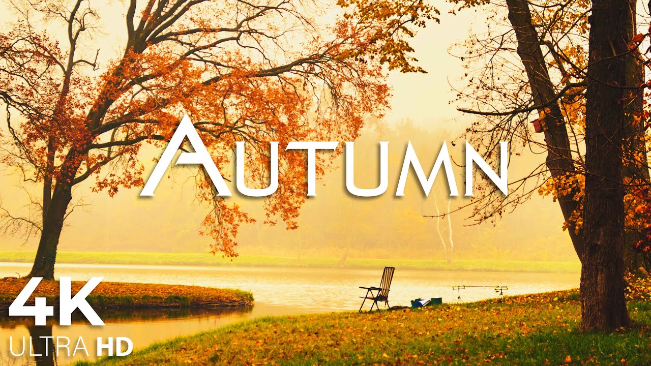 Enchanting Autumn Forests with Beautiful Piano Music🍁4K Autumn Ambience ...