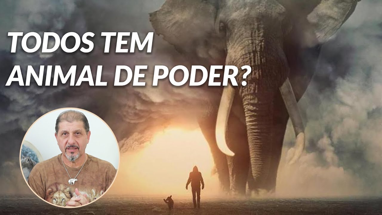 ANIMAL DE PODER: Quantos Animais de Poder eu tenho? Descubra seu Animal ...
