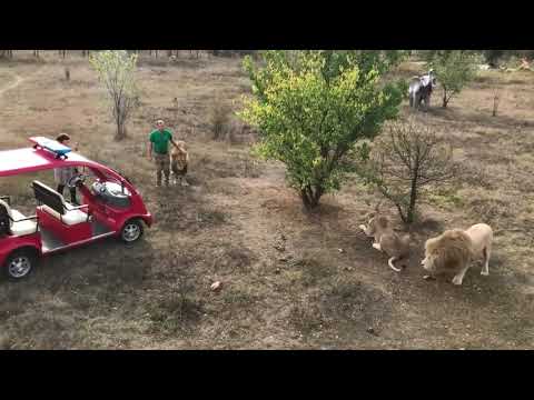 Олег Зубков: про авто \