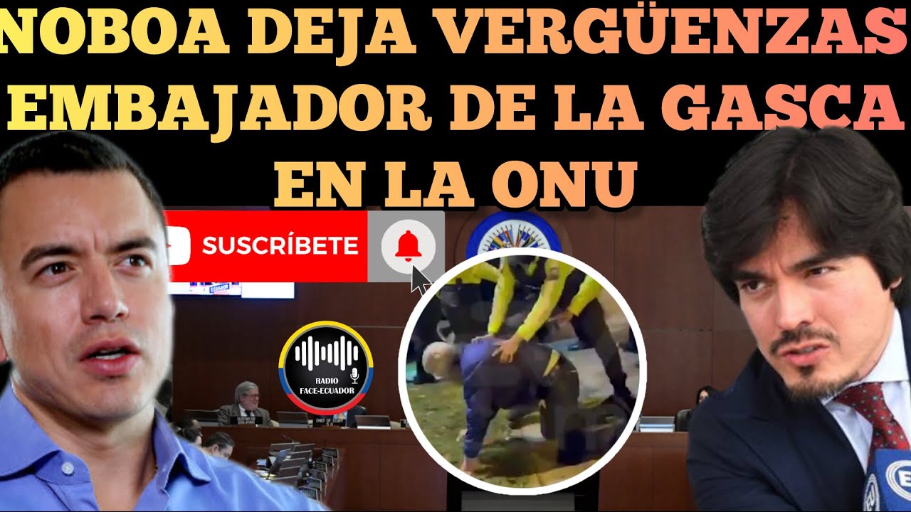 DANIEL NOBOA DEJA EN VERGÜENZA AL EMBAJADOR DE LA GASCA ANTE LA ONU NOTICIAS RFE TV - YouTube