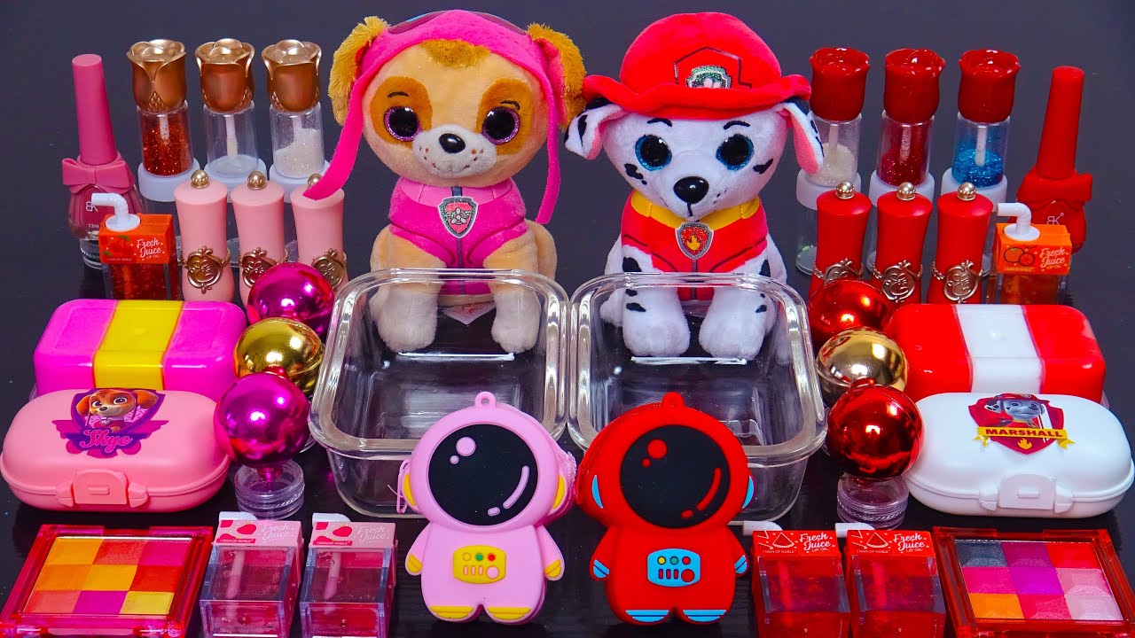 Skye & Marshall Paw Patrol Slime! Mixing Random Things Into Slime! Most ...