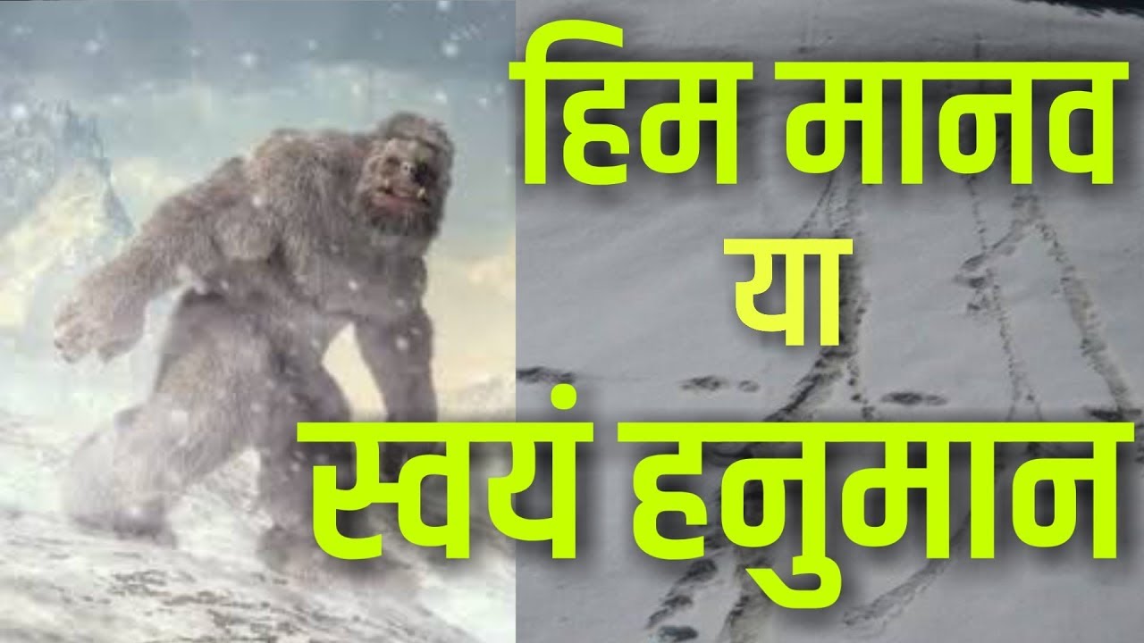 him manav or hanuman - kya yeti ab bhi zinda hai | him manav ka rahasya ...