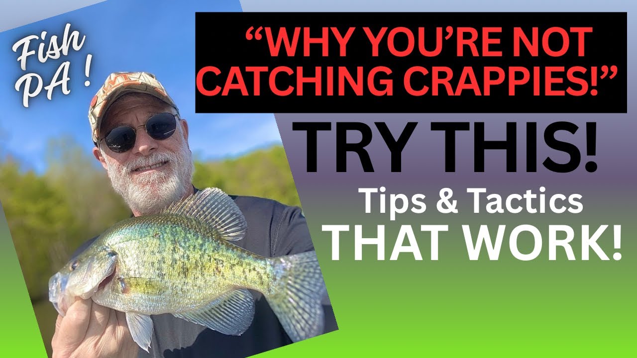 Crappie Fishing Made EASY: Catch MORE with These Killer Tips! - YouTube