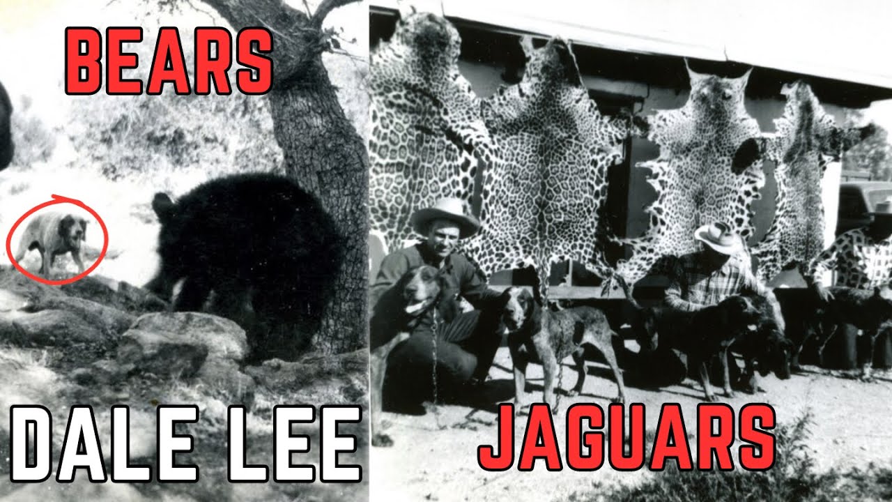 Dale Lee #6 Tales of Hunting BEARS and JAGUARS - YouTube