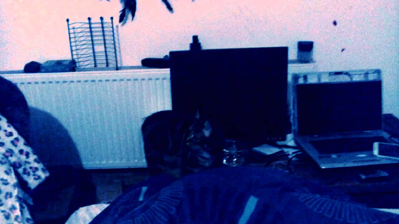 The cutest Mia you will see - YouTube