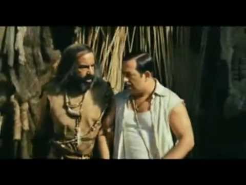 Arog; Eşşek bilmediği otu yerse başı ağrır :)