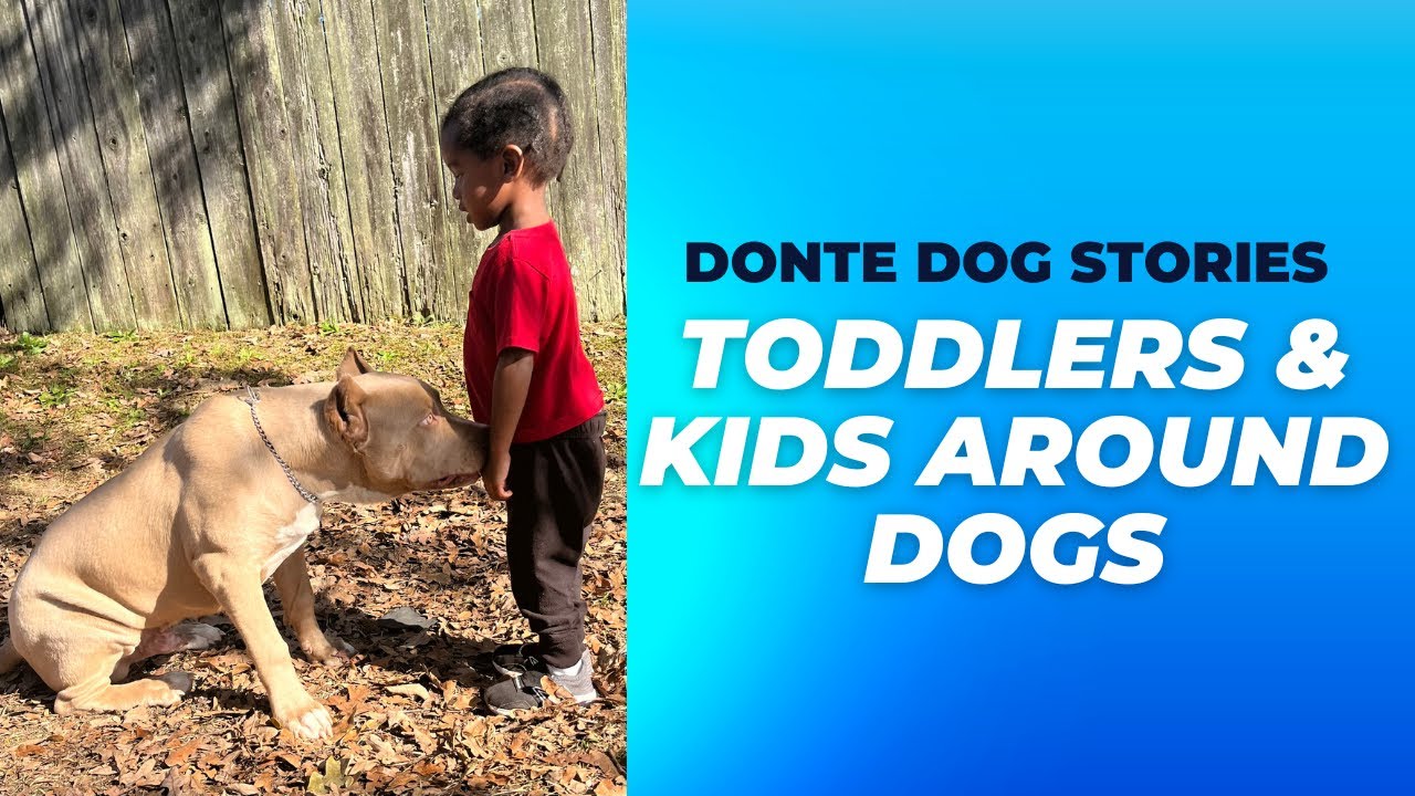 Toddlers & Kids Around Dogs | EP 16 - YouTube