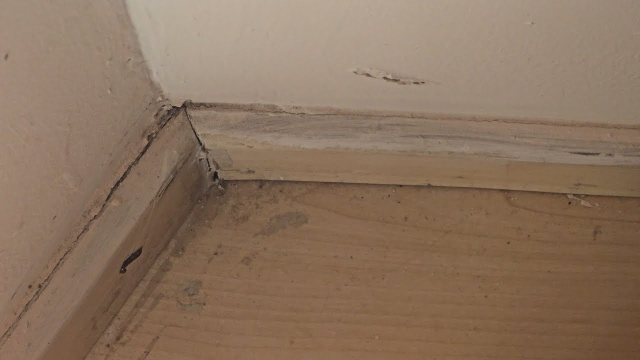 Hotel în Grecia cu recenzii false,🙏mult mucegai.Urmăriți videoclipul ...