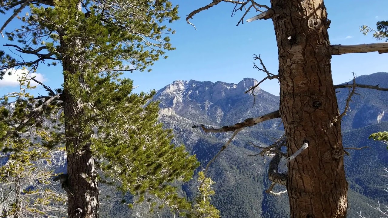 Griffith Peak Part 3a | Mt Charleston Wilderness | Spring Mountains ...
