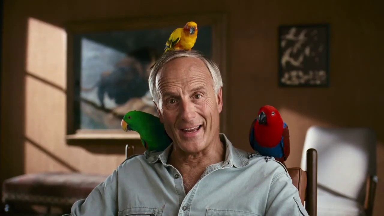 CFF Parrots - Nationwide Insurance Commercial - YouTube