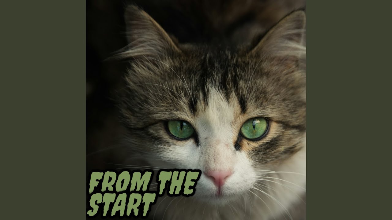 From The Start - YouTube