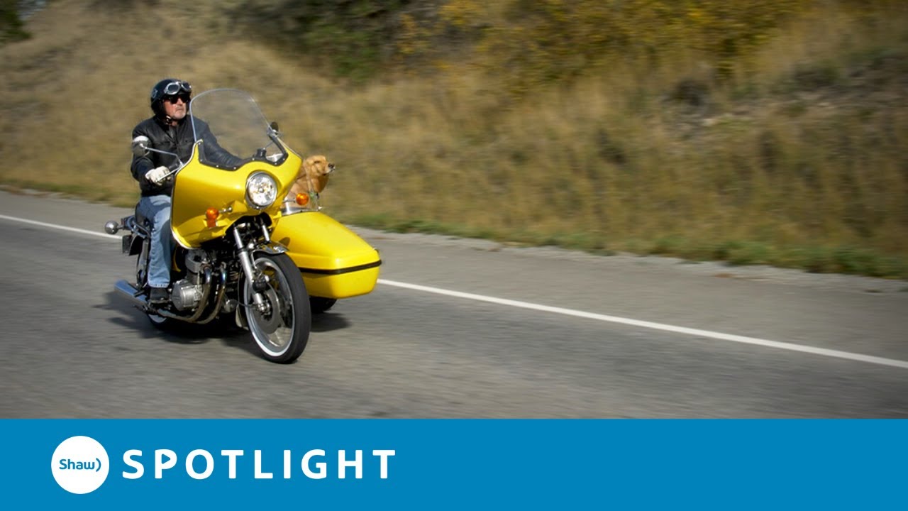 Motorcycle Rides with my Sidecar Dog - YouTube