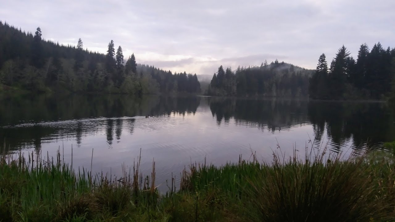 Trout Fishing at Lake Aberdeen - YouTube