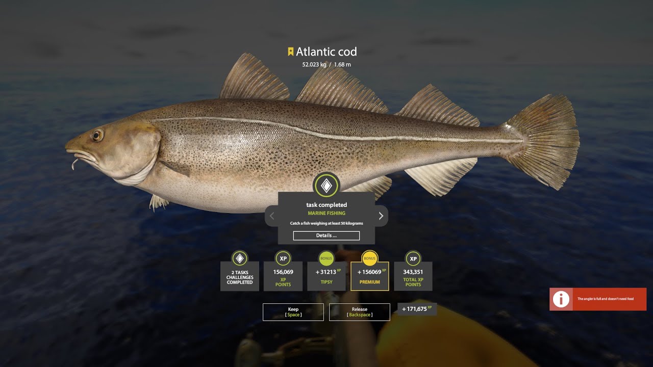 Trophy Atlantic Cod 52.023kg - RF4 Trophies - RF4 - YouTube