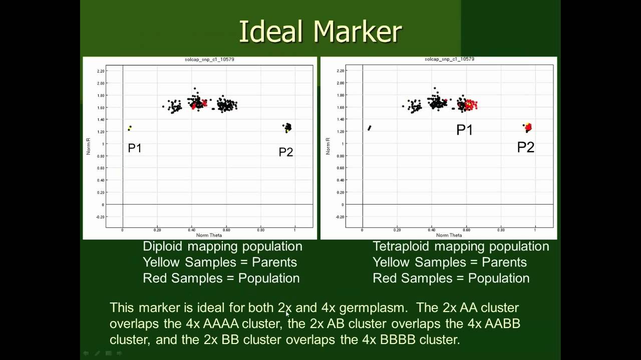Calling SNPs using Genome Studio Software - YouTube