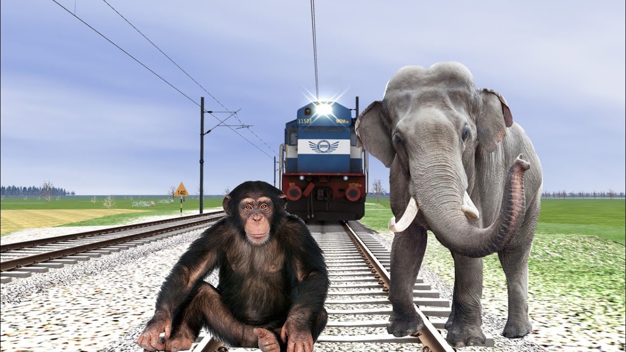 Elephant & monkey on track vs Train And Stops the high speed Train ...