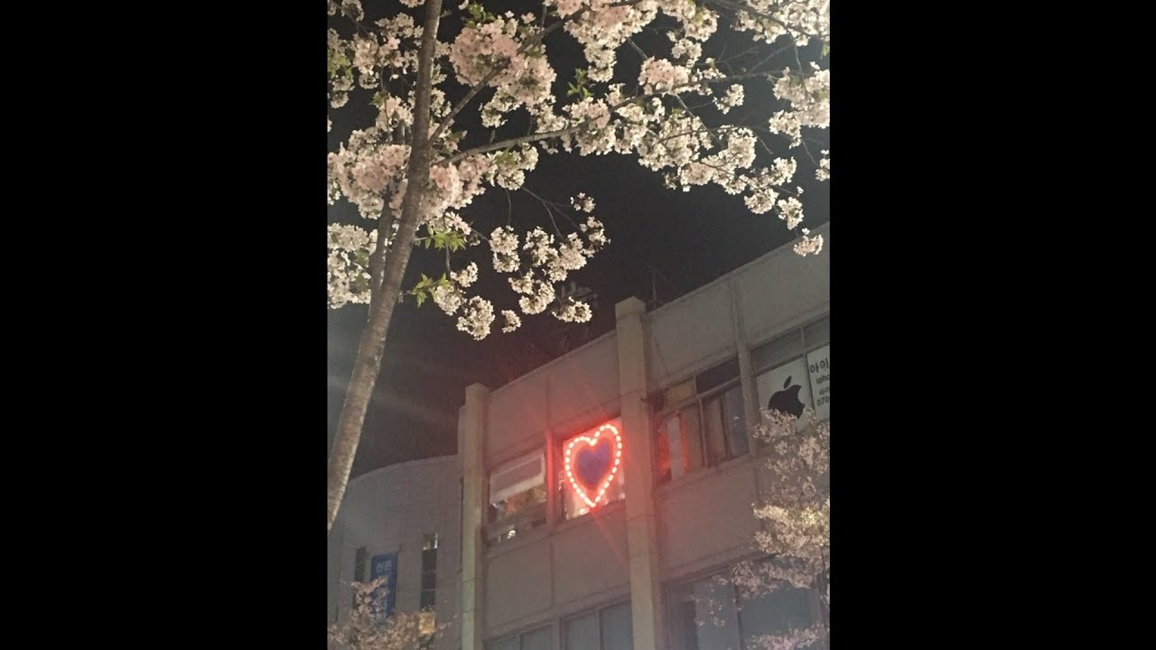 [FREE] 432hz silo x koi type beat 'flavourrs' // prod. snorkatje - YouTube