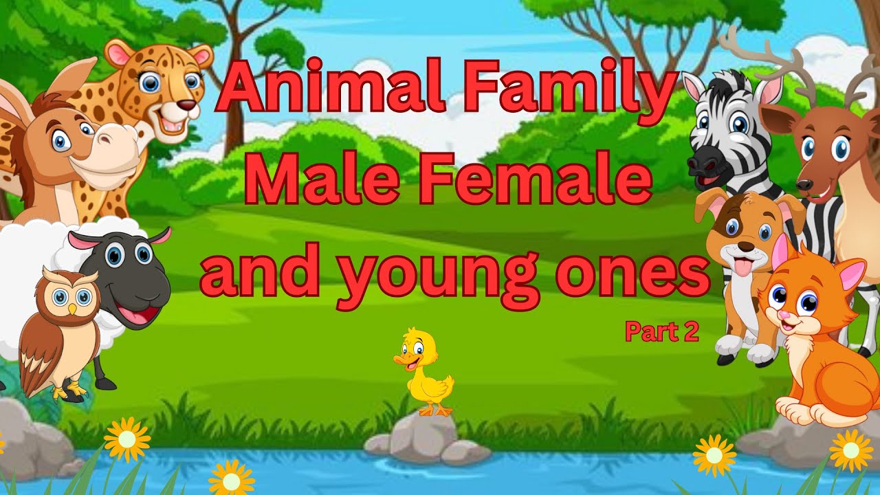 Animals for kids part 2| Learn Animals and their young ones| Male ...