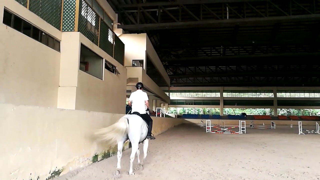 Horse riding lesson day 4 - Sitting trot and practicing rising trot ...