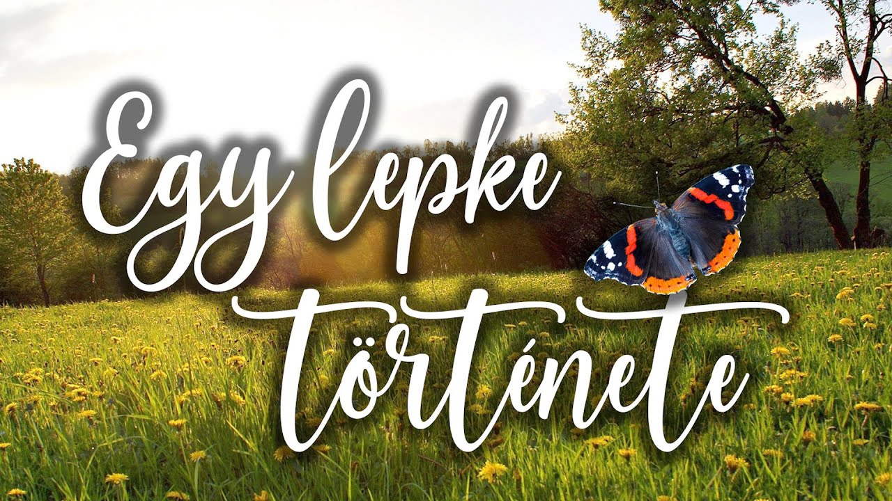 Egy lepke története - YouTube