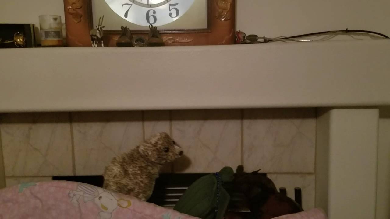 Kids puppet show ruined by fart - YouTube