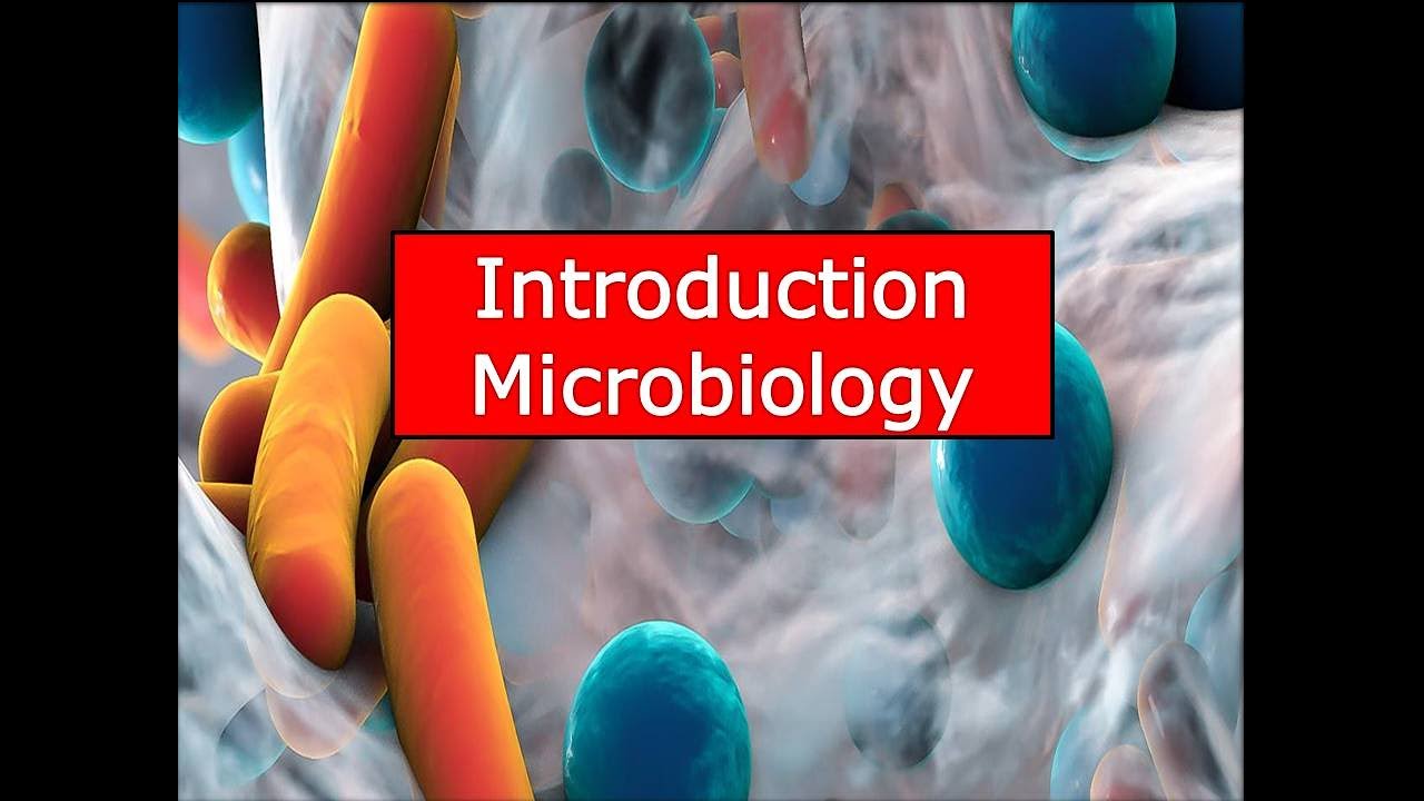 Introduction of Microbiology , Branches of Microbiology , importance of ...