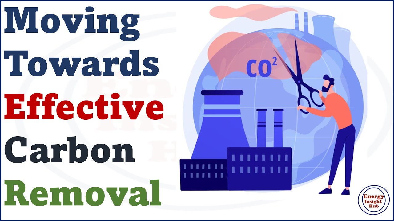 🌿🌎 Unlocking Climate Solutions: Effective Carbon Removal Methods and ...