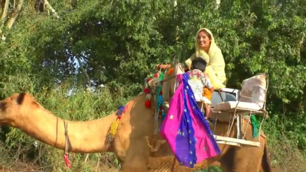 camel ki sawari bht acha laga | chariot darya ki sair vlog | sama ...