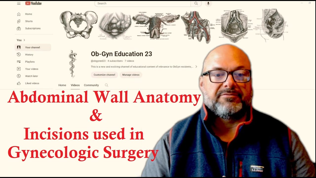 Overview of Abdominal Wall Anatomy and Incision Types used in ...