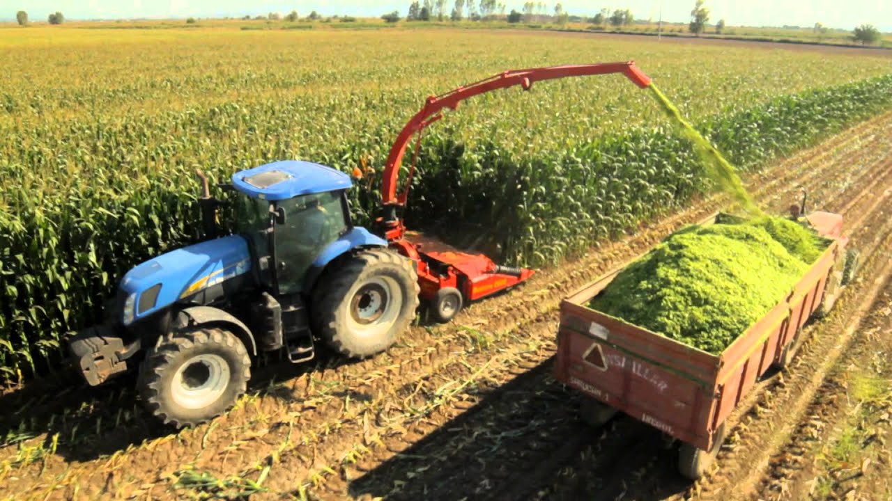 Row Independent Maize Chopper - Fimaks - YouTube