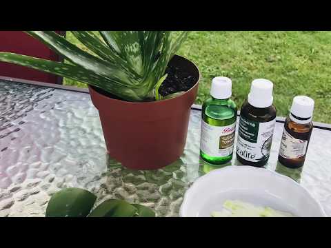 Aloe vera faydaları?Aloe vera  jeli ile kırışıklık ve yüz lekelerini gidern doğal krem nasıl yapılır