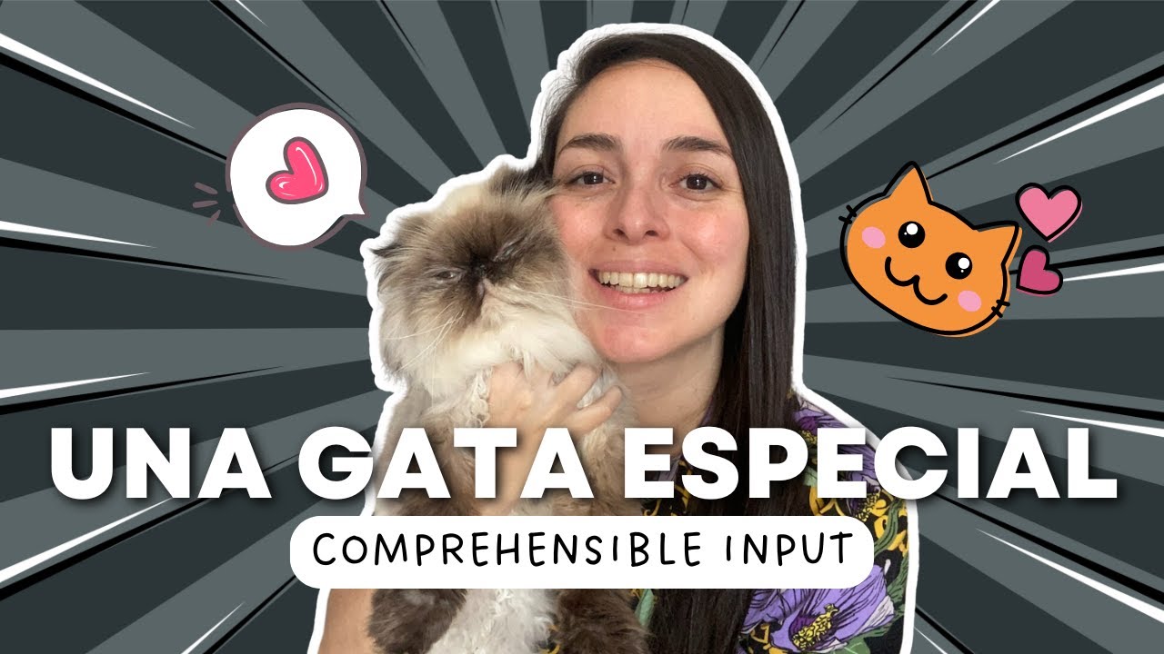 😺Spanish for basic level students | Comprehensible input in Spanish ...