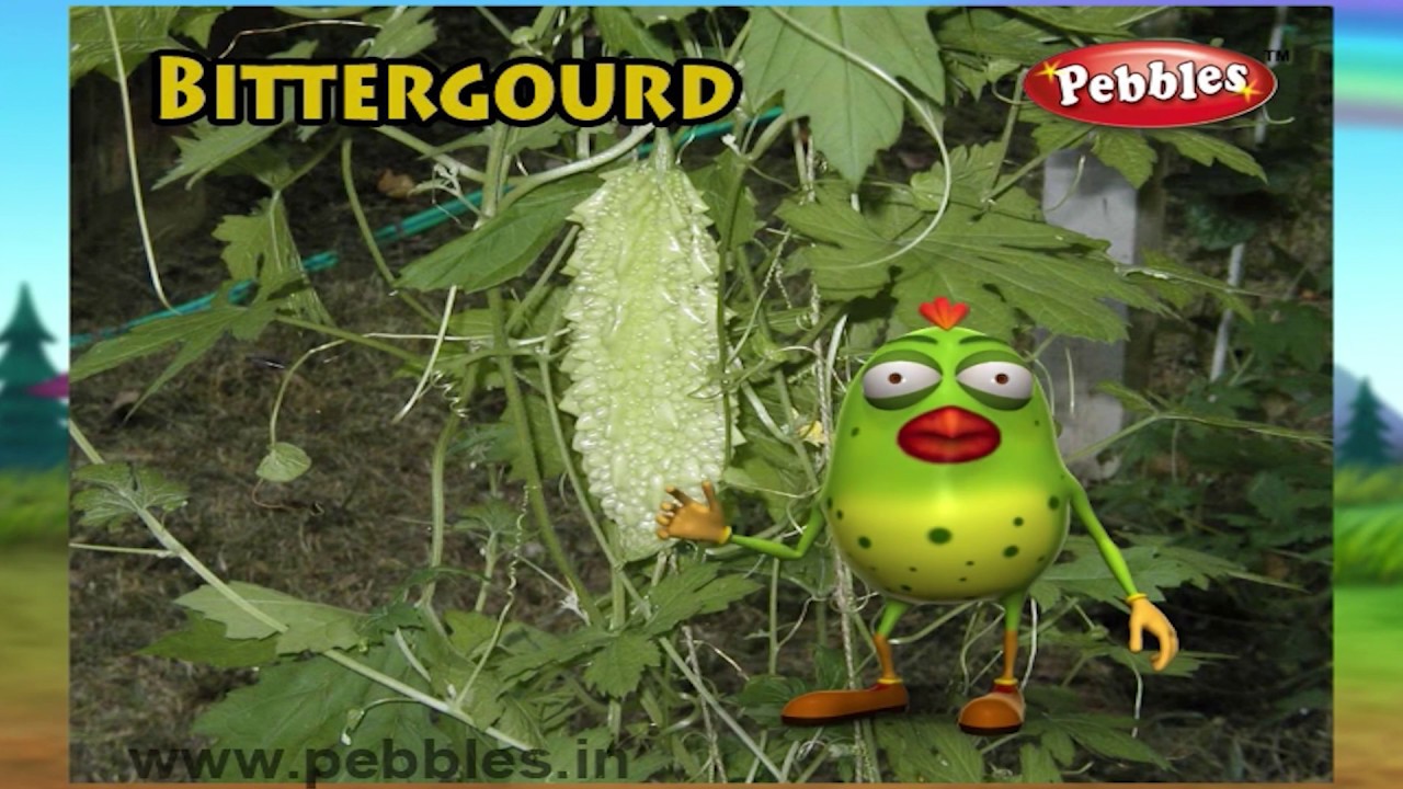 Bitter Gourd Rhyme | Nursery Rhymes With Lyrics For Kids | Vegetable ...
