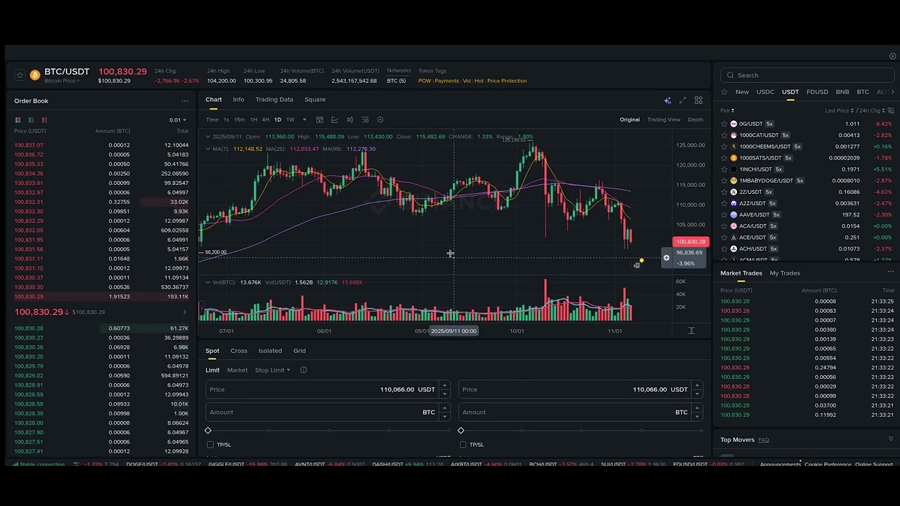 LIVE BTC/USDT CHART: Real-Time Bitcoin Price Tracker (Current Market ...