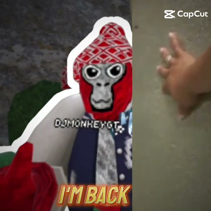 knock first next time ok - YouTube