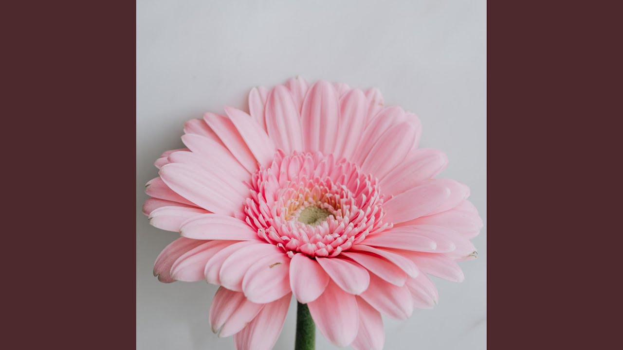 Ambient Tech - YouTube