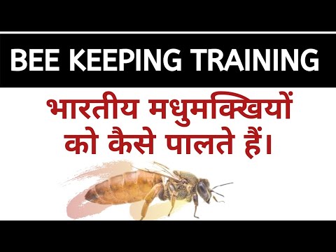 Bee Keeper in India || Apis Cerana || How to create honey comb - YouTube