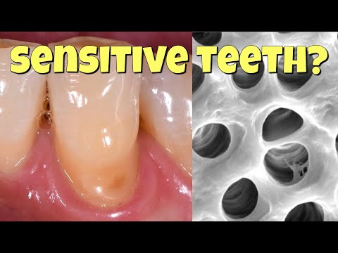 Why Is My Tooth Sensitive Near The Gum Line