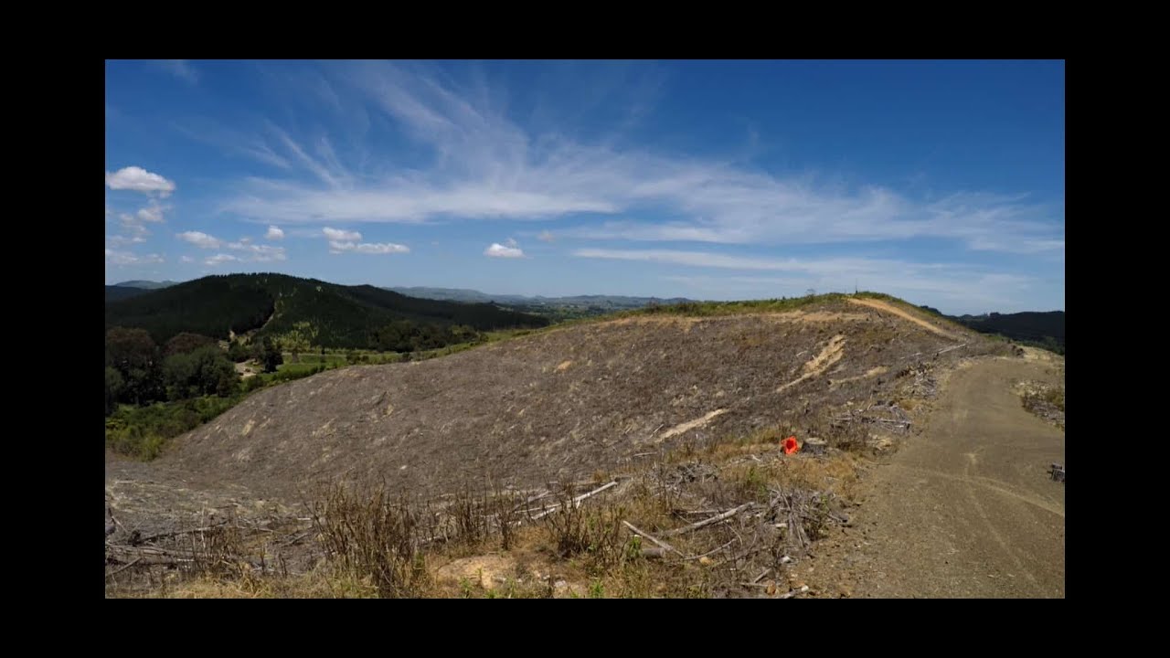 Maramarua Forest Ride - YouTube
