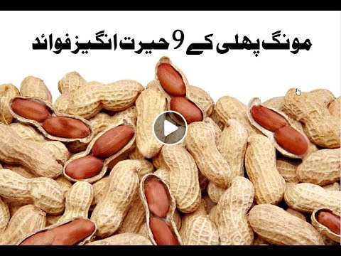 Mongphali( peanuts) Kay 9 Hairat Angaiz Fawaid | Maulana Ilyas Qadri ...