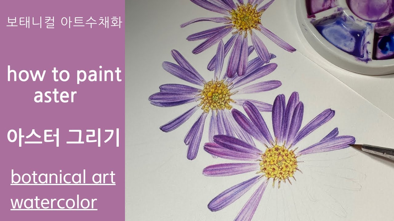 how to paint aster / color tutorial + painting process / 가을국화 그리기 / 컬러 레슨 + 그림 과정 /free outline ...