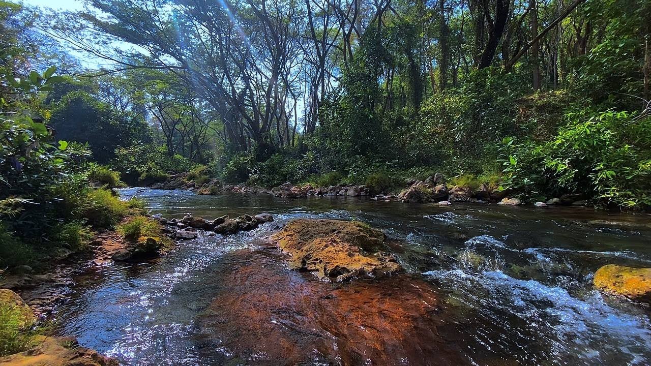 10 Hours Relaxing Nature Sounds - River Noise and Flowing Water Sounds ...