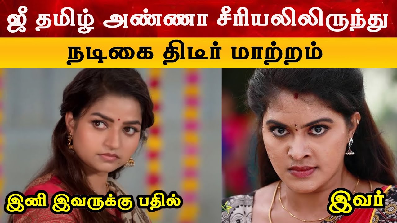அண்ணா சீரியலிலிருந்து நடிகை திடீர் மாற்றம் - Anna Serial Actress ...