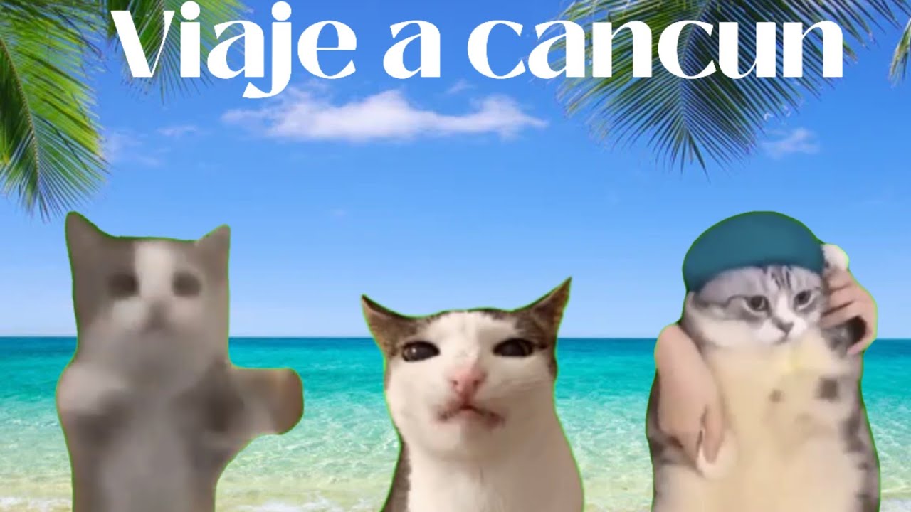 Viaje a cancun gatuno, recopilación completa. - YouTube