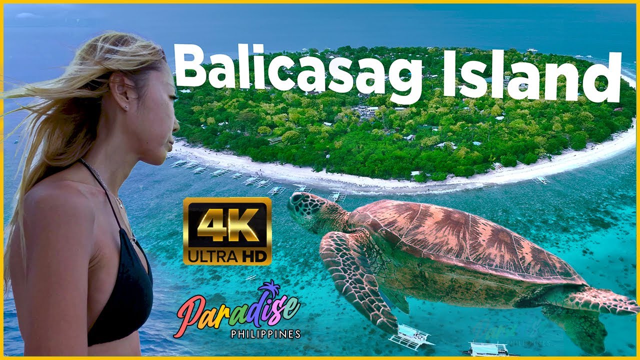 The turtles and the fishes, the island's riches | Balicasag Island ...